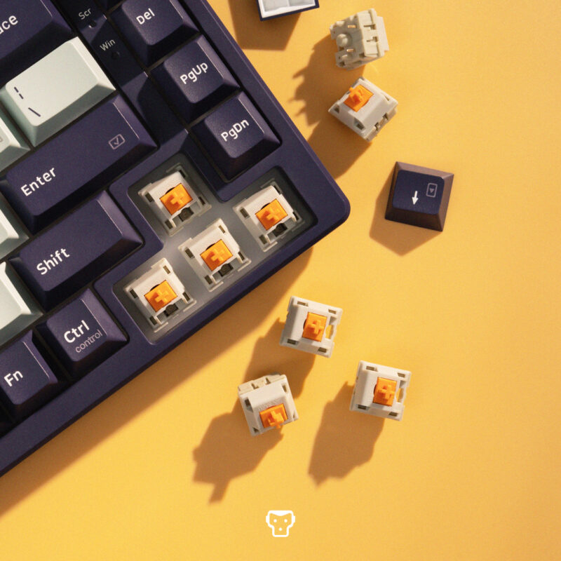 Saruspace – Beyond your imagination