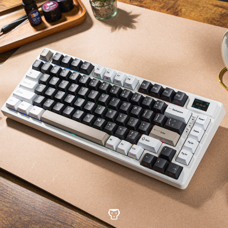 Saruspace – Beyond your imagination