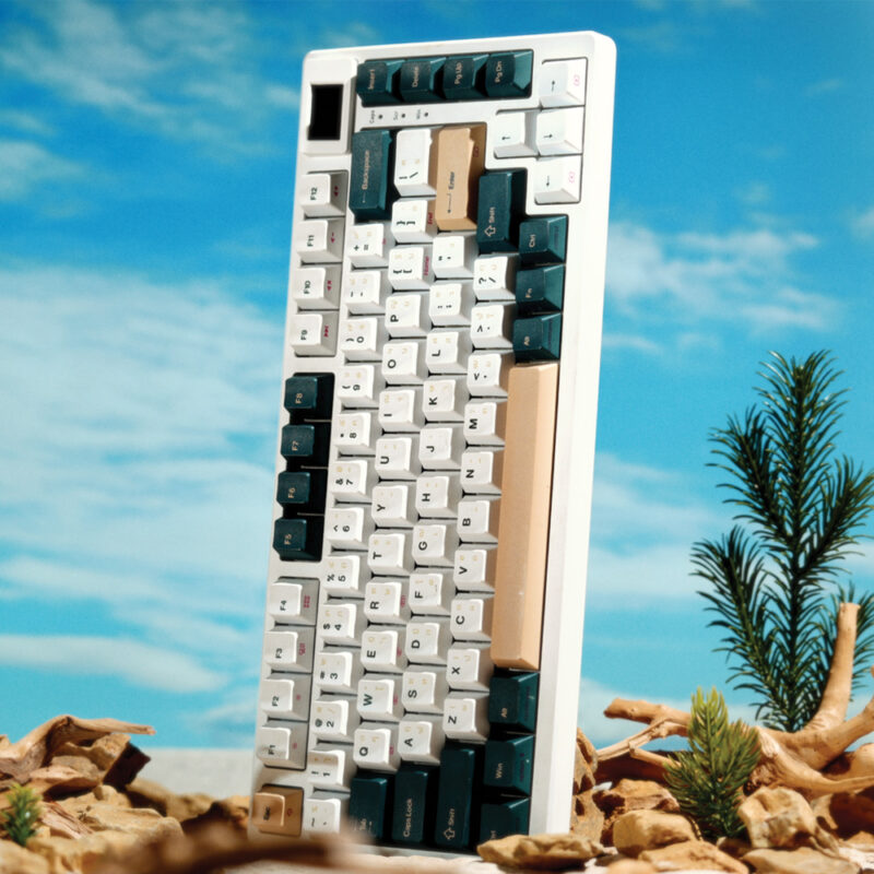 SARU JUPITER81 COLOR TFT Keyboard – Stunning RGB Color Display with ...