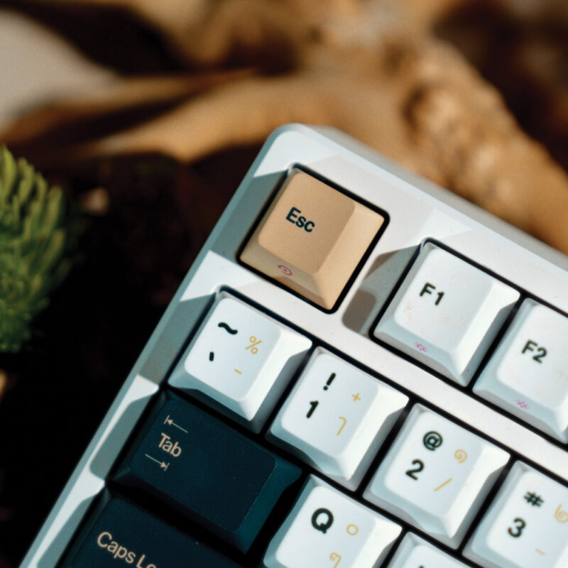 SARU JUPITER81 COLOR TFT Keyboard – Stunning RGB Color Display with ...