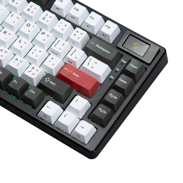 SARU JUPITER81 COLOR TFT Keyboard – Stunning RGB Color Display with ...